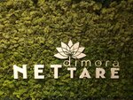 Dimora Nettare (Apulia, Brindisi, Via Giudea), kısa süreli konaklama  Brindisi'nden