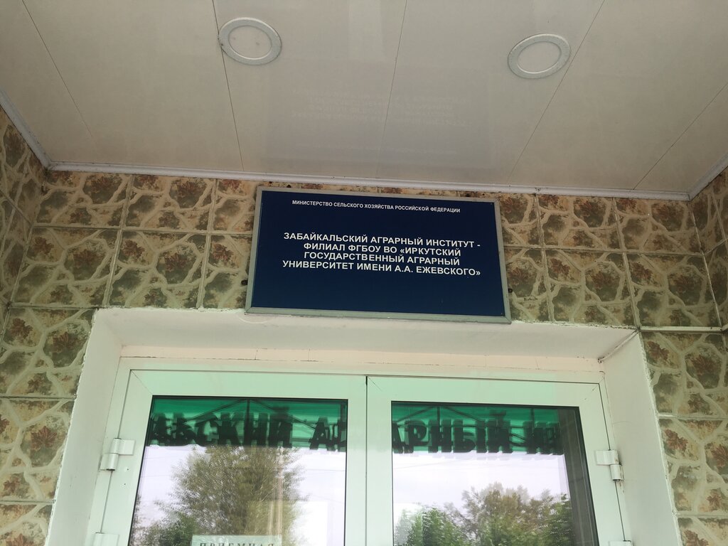 Üniversiteler Zabaykalsky agrarny institut, Çita, foto