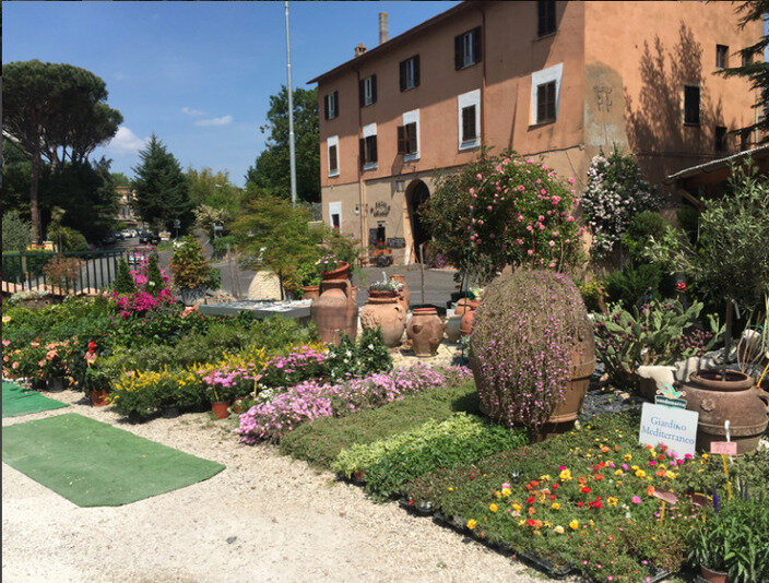 Hayvancılık Vivaio Verde Matto, Lazio, foto