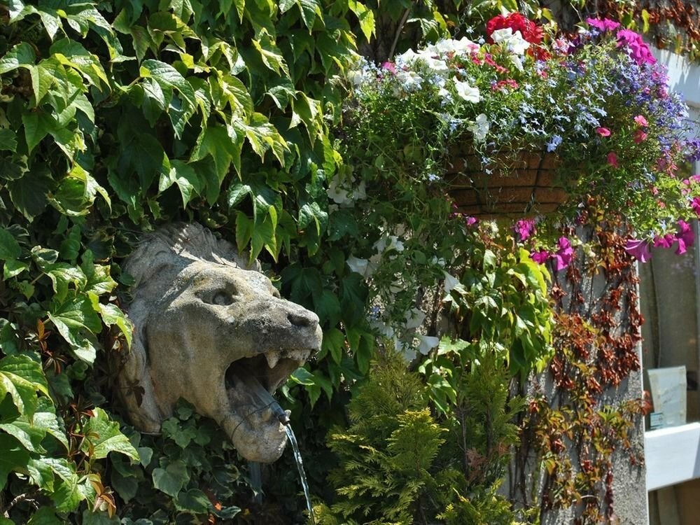 Otel Stone Villa, İngiltere, foto