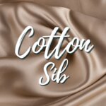 Cotton (ulitsa Lermontova No:21), mefruşat  Abakan'dan