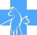Veles (Leningrad Region, Vsevolozhckiy DIstrict, gorodskoy posyolok imeni Morozova), veteriner klinikleri  Saint‑Petersburg ve Leningradskaya oblastından