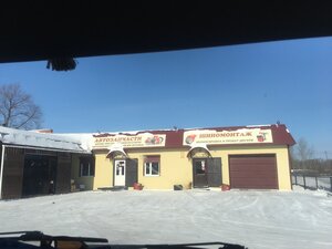 СТО (Omsk Region, selo Sedelnikovo), otomobil servisi  Omskaya oblastından