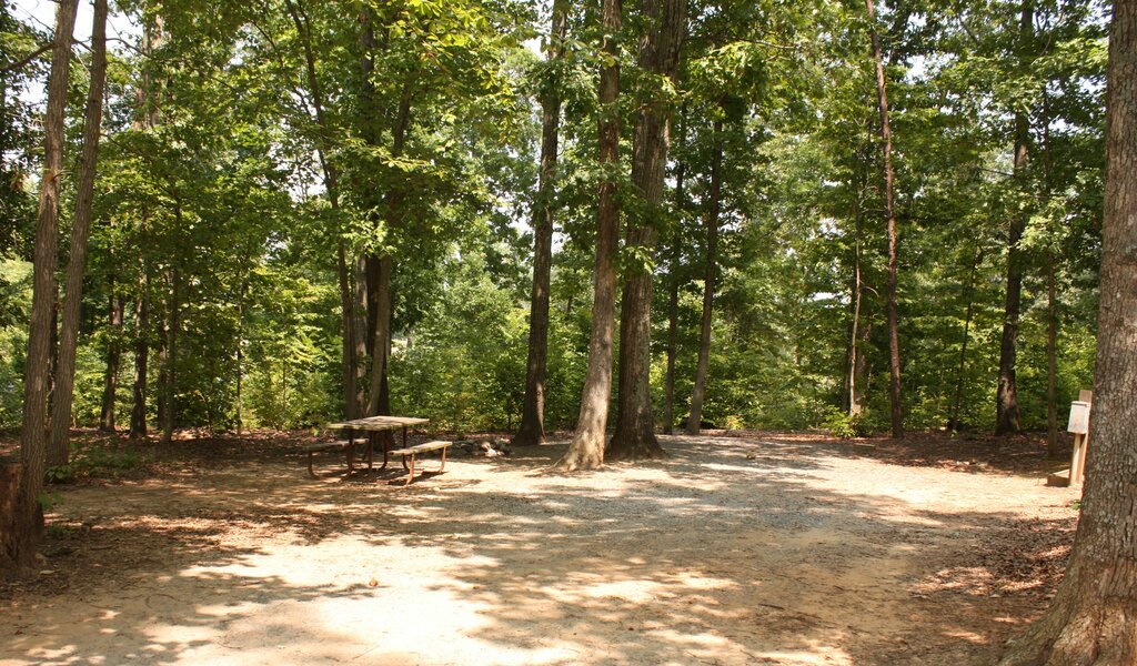 Kültür ve eğlence parkları Lynchburg Rv Resort, Virginia, foto