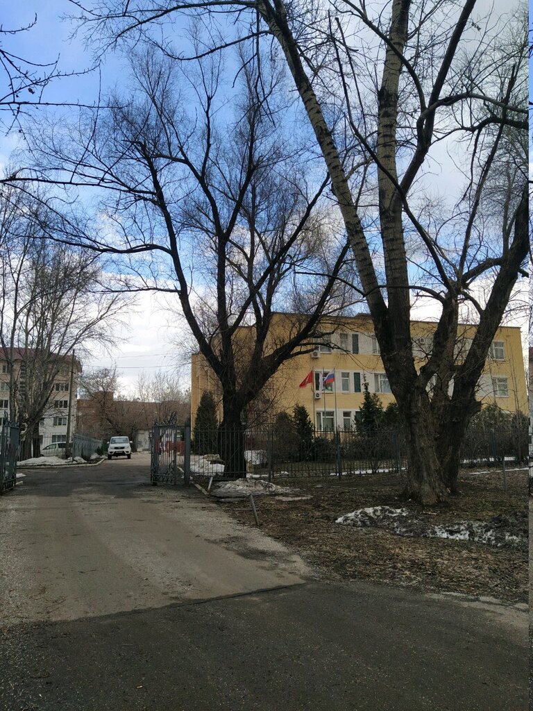 Konteyner nakliyatı Tek Sigma Trans Servis, Moskova, foto