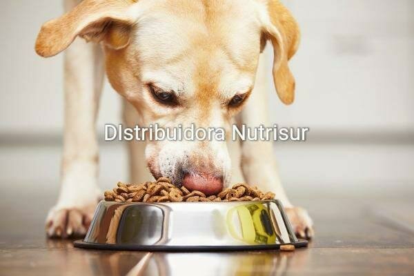Restoran Nutrisur Srl, , foto