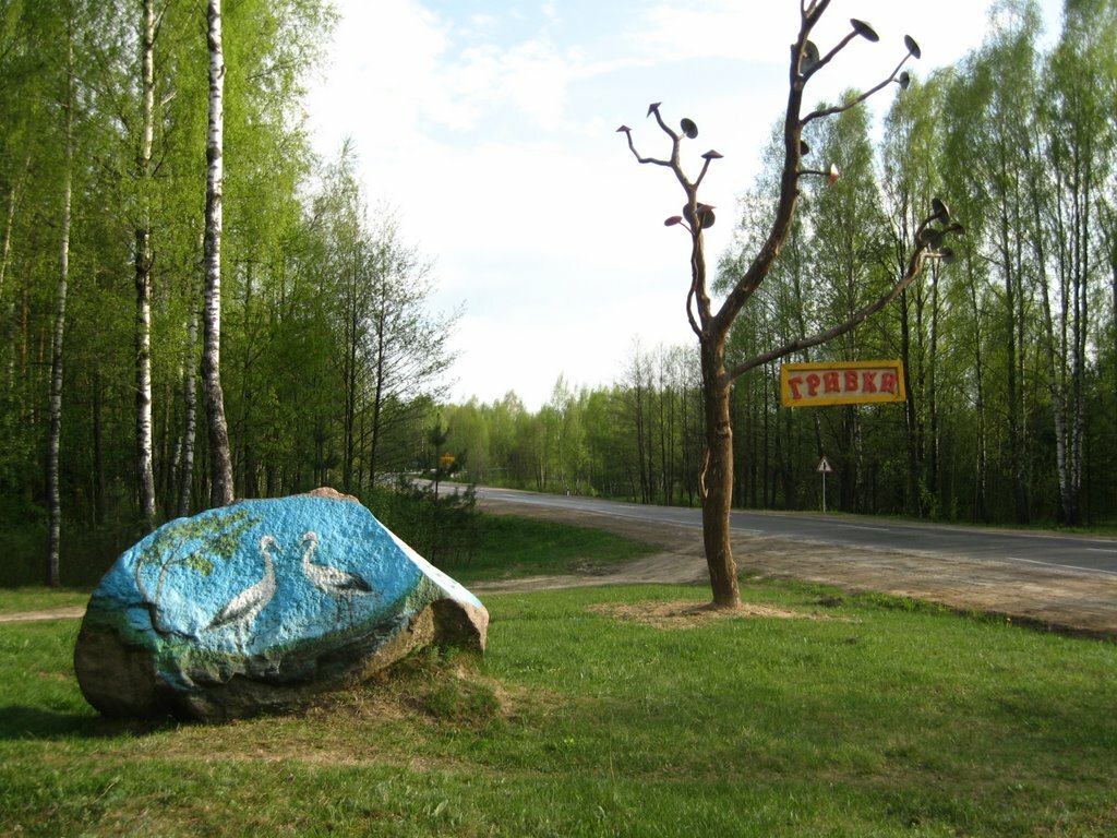 Piknik alanı Место отдыха Грибки, Mogiliovskaya oblastı, foto