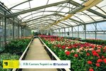 Fratelli Carrara (Lombardy, Provincia di Pavia, Via Porta Pescarina, 62), bahçe ekipmanları ve teknolojileri  Lombardiya'dan