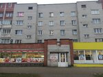 Крестьянское фермерское хозяйство (ulitsa Lenina No:26), market  Slantsy'den