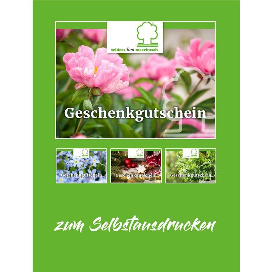 Peyzaj tasarımı Garten Selders GmbH, Meerbusch, foto