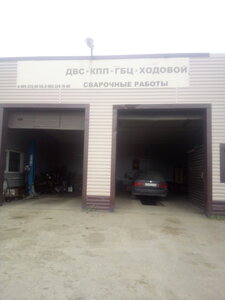 Станция технического обслуживания (Saratov Region, Krasnoarmeyskiy rayon, Karamyshskoye munitsipalnoye obrazovaniye), otomobil servisi  Saratovskaya oblastından