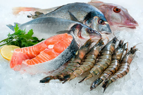 Balık çiftçiliği ve toptancıları Pescheria De Noia Mecenero Claudio, , foto