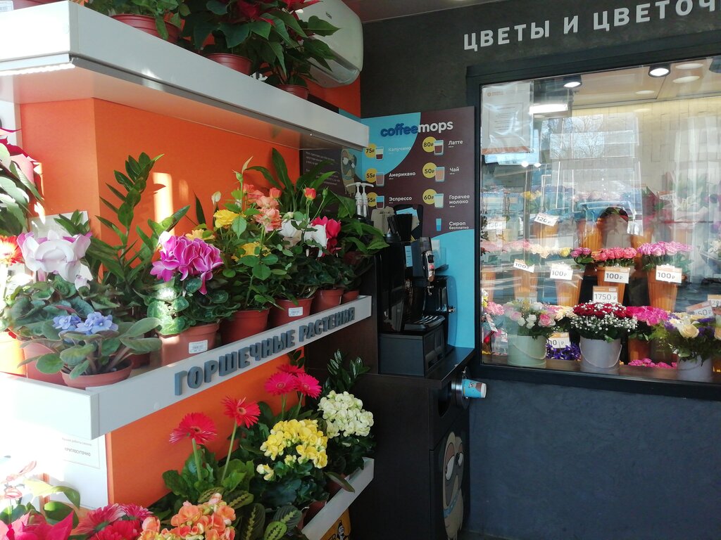 Kahve dükkanları Coffemops, Saratov, foto