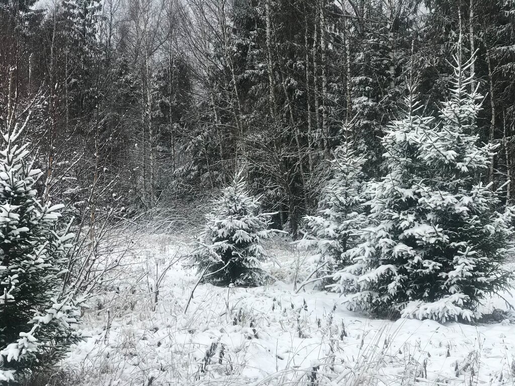 Arazi dizisi Stroyinvesttopaz, Moskova, foto