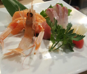 Ristorante Giapponese Tao (Piazzale della Repubblica No:2, Arezzo), restoran  Arezzo'dan