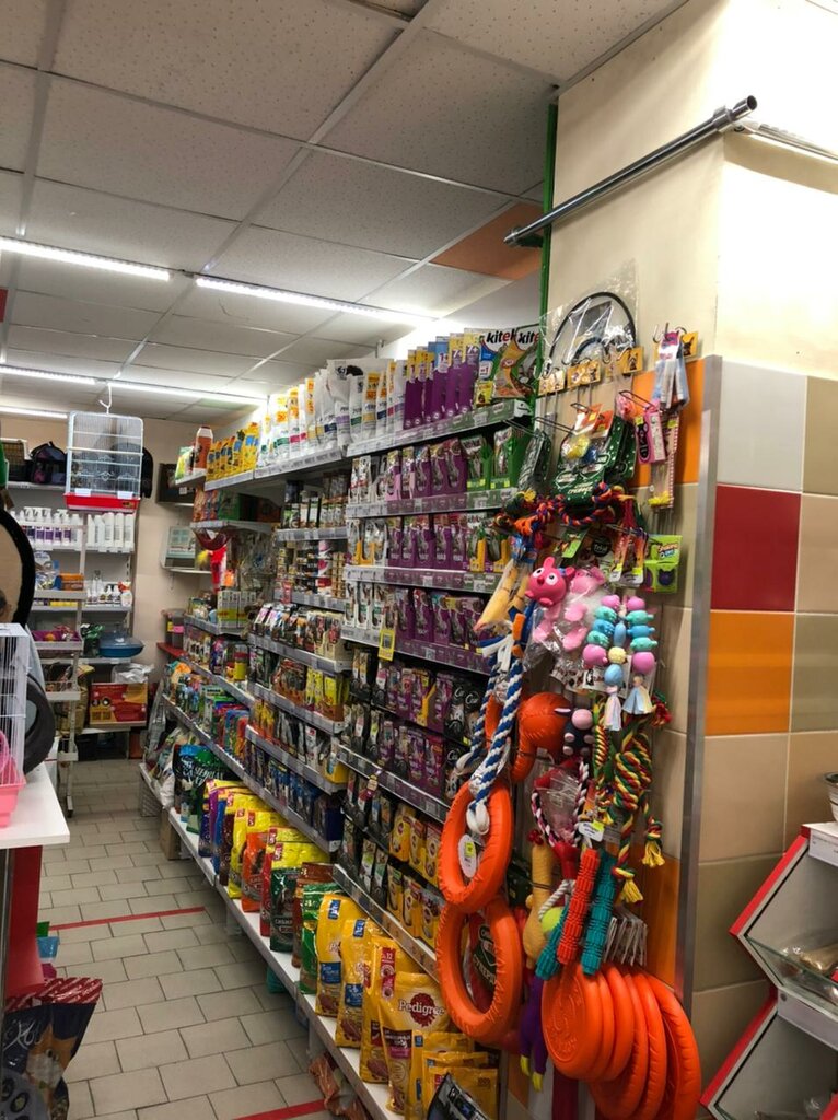 Petshop Klepa, Tomsk, foto