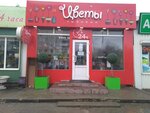 Tsvety (Bryansk, 4-y mikrorayon), çiçekçiler  Briansk'tan