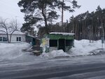 Лесная-1 (Altai Territory, Biyskiy rayon, selo Lesnoye, Lesnaya ulitsa), toplu taşıma durağı  Altayski krayından