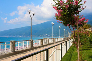 A-more Gagra (ulitsa Adygaa No:49, Town of Gagra), otel  Gagra'dan