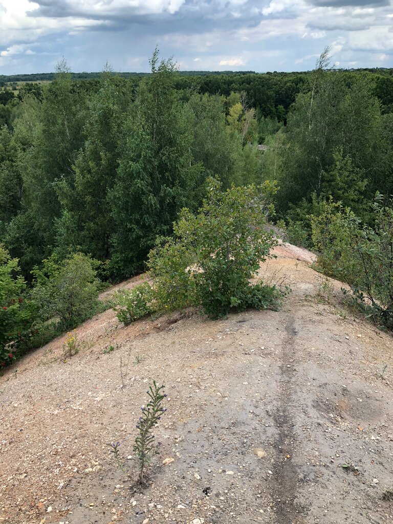 Dağ zirvesi Террикон шахты № 57, Riazanskaya oblastı, foto