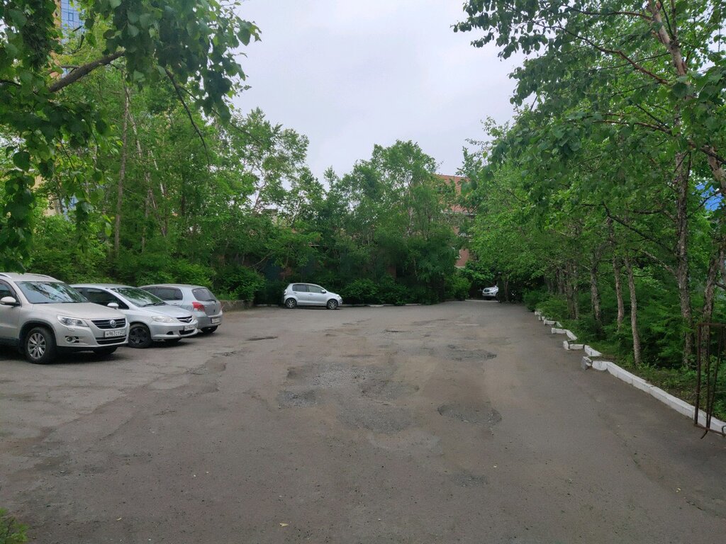 Otoparklar Car park, Vladivostok, foto