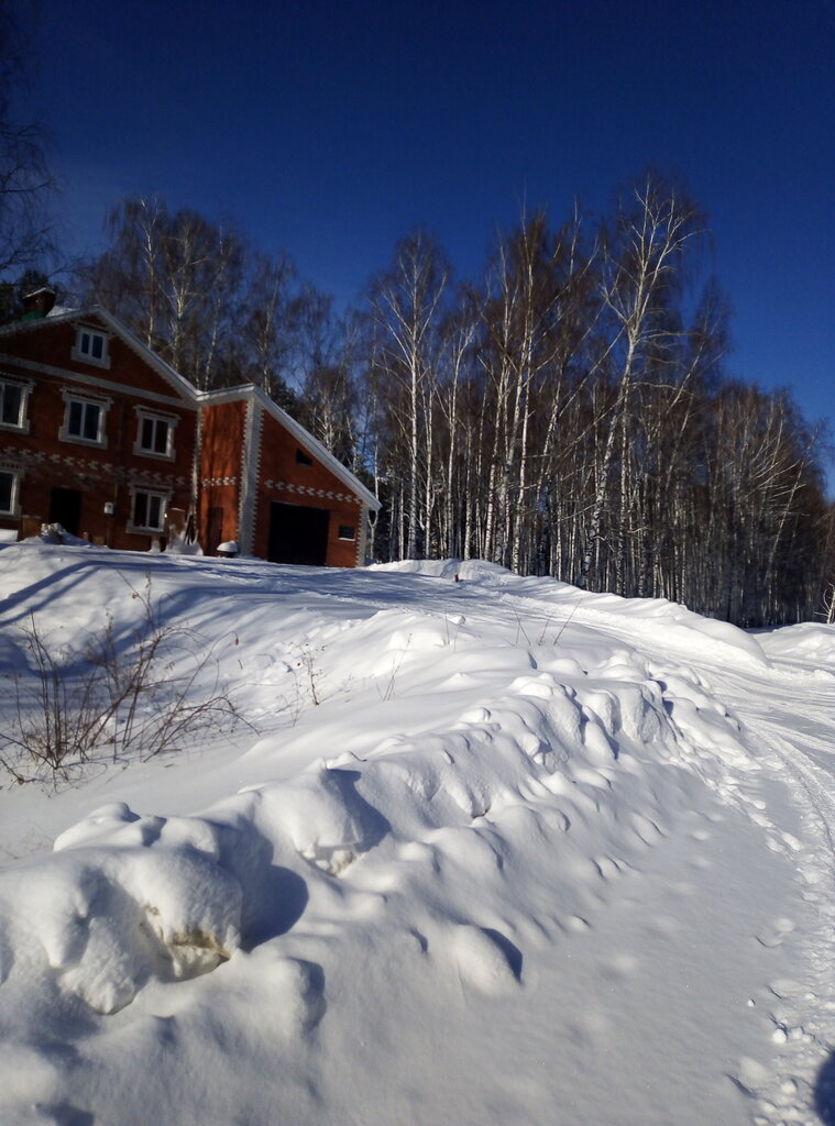 Bahçecilik dernekleri ve kuruluşları СНТ Заовражье 313, Kazan, foto