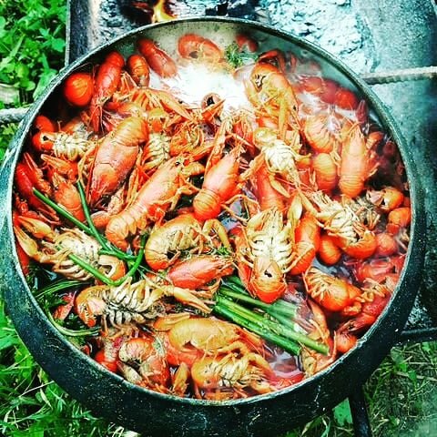 Bira dükkanı Бочка, Krasnodar, foto