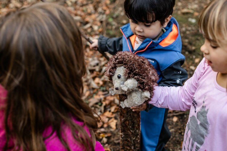 Anaokulları Waldkindergruppe Martina Eder, Dünya, foto