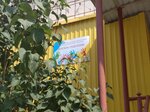 Доверие (Zapadnaya Street No:20), emlak ofisi  Dmitrovgrad'dan