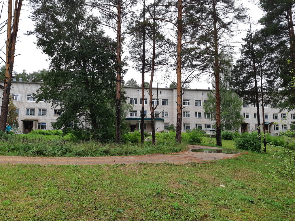 Hastaneler Тарногская центральная районная больница, Vologodskaya oblastı, foto