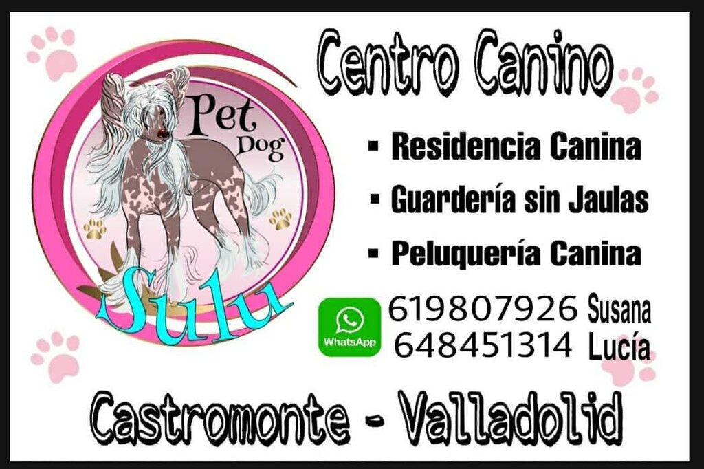 Veteriner klinikleri Centro Canino Petdogsulu, Kastilya ve Leon, foto