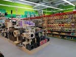 Fressnapf Wiener Neustadt (Stadionstraße No:42, Wiener Neustadt), petshop  Wiener Neustadt'tan