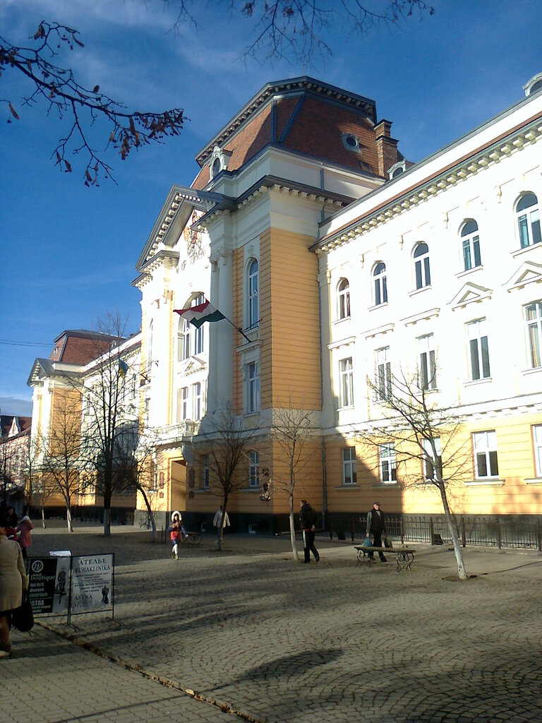Üniversiteler Ferenc Rákóczi II Transcarpathian Hungarian Institute, Beregove, foto