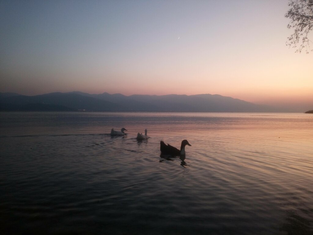 Kültür ve eğlence parkları Serdivan Gölpark Sosyal Tesisleri, Serdivan, foto
