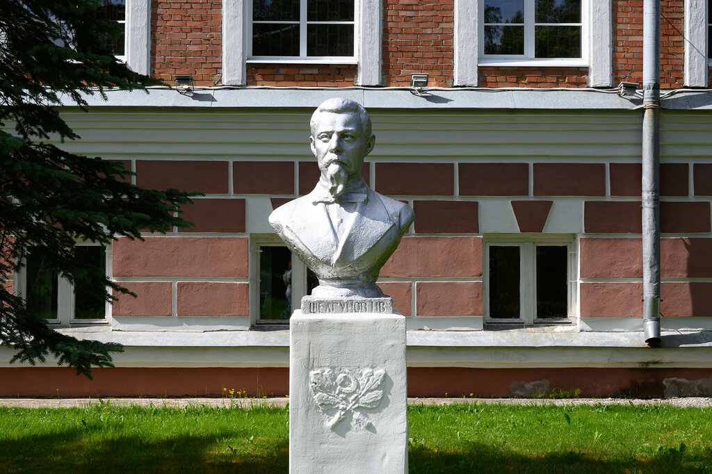 Anıt, heykel Николай Васильевич Шелгунов 1824-1891, Saint‑Petersburg ve Leningradskaya oblastı, foto