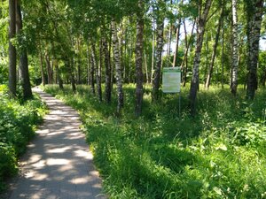 Комсомольская роща (Kaluga, Komsomolskaya roshcha), doğa  Kaluga'dan