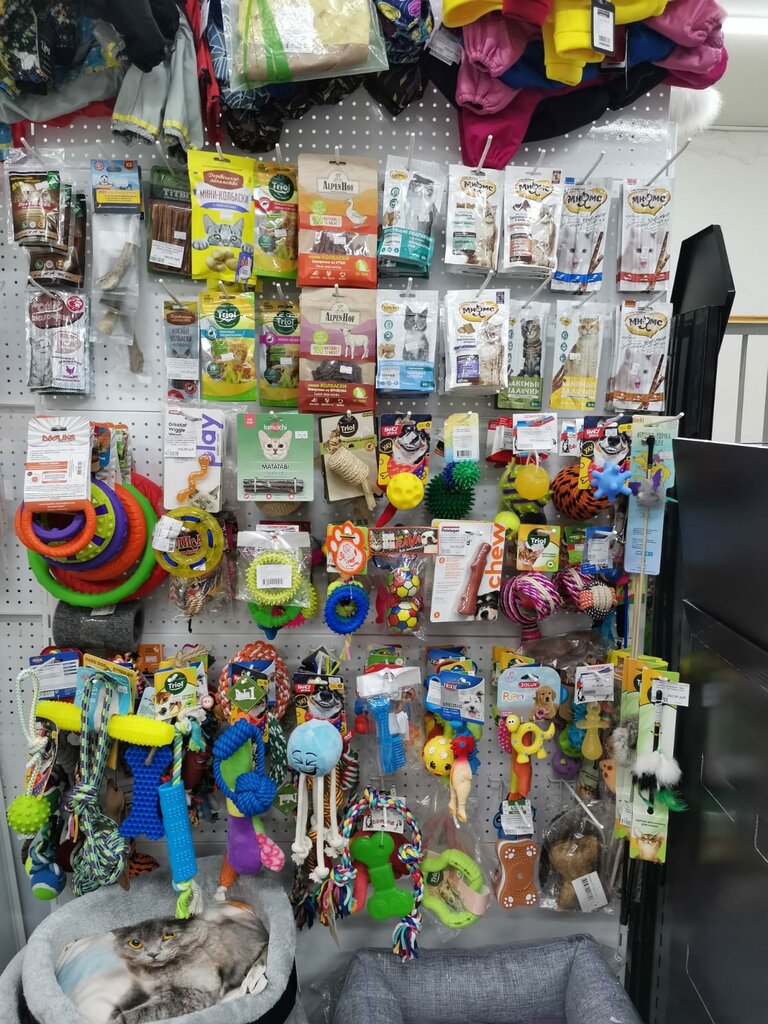 Petshop ZooWORLD, Aramil, foto