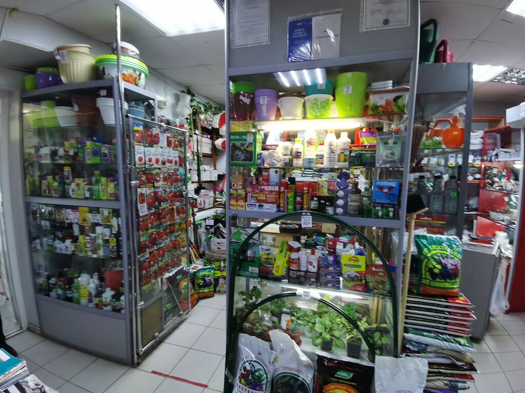 Tohum satan yerler Садовод, Volgograd, foto