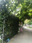 Гостевой дом Отдых у Любови (No:42А, mikrorayon Yablonevy Sad, selo Plyakho), otel  Krasnodarski krayından