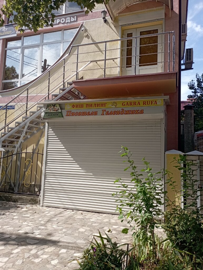 Hobi kulüpleri Писатели Геленджика, Gelencik, foto