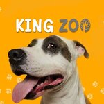 Zootovari Kingzoo.by (Zavadskaja vulica No:15А), petshop  Pruzhany'dan
