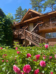 Shale Sinegorie (Naberezhnaya ulitsa No:51, posyolok Arshan), otel  Buriatya'dan