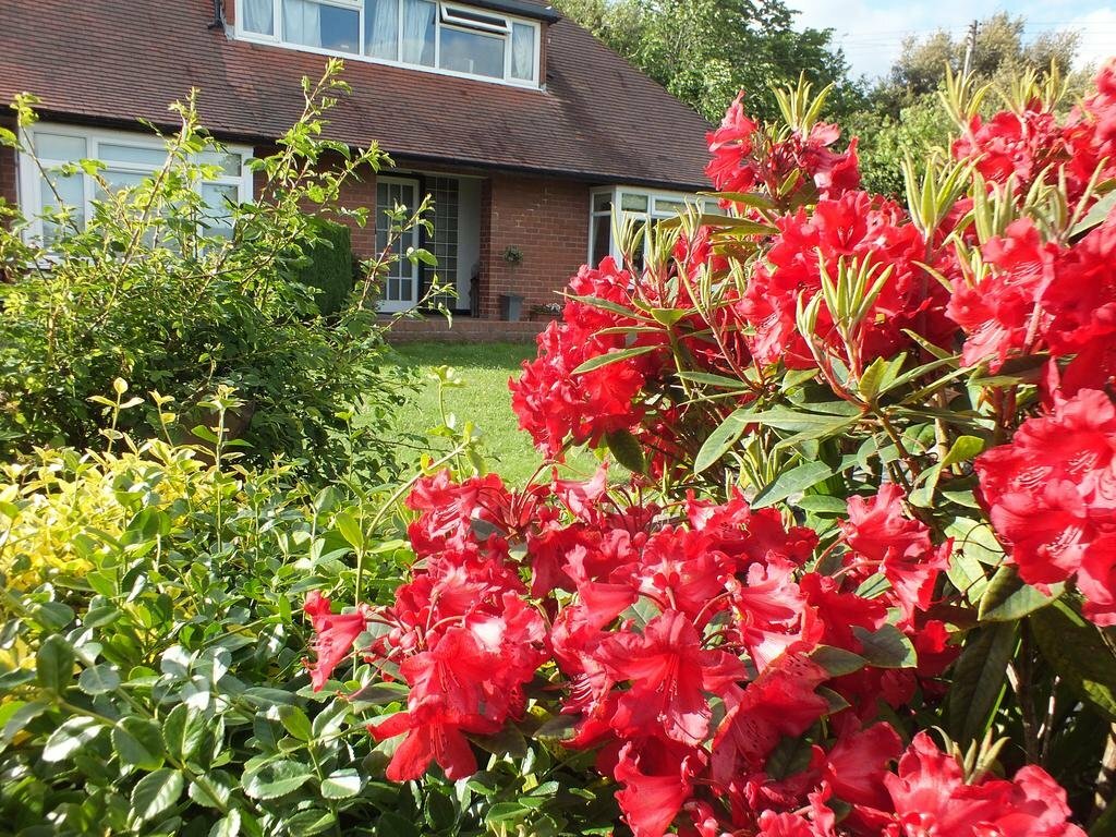 Otel Mortimer Trail B & B, İngiltere, foto