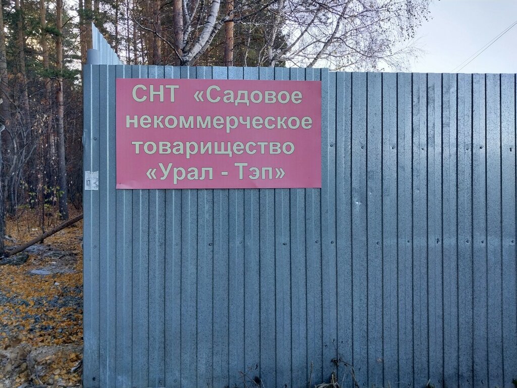 Bahçecilik dernekleri ve kuruluşları Урал-Тэп, Yekaterinburg, foto
