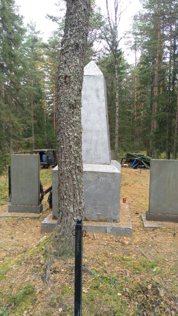 Anıt, heykel Воинское захоронение и обелиск, Pskovskaya oblastı, foto