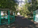 Kindergarten № 77 (Solnechnaya ulitsa No:3), anaokulları  Krasnoyarsk'tan