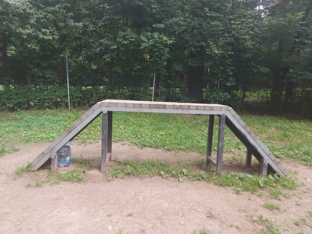Köpek gezdirme alanları Dog park, Minsk, foto