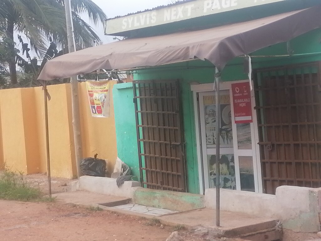 GSM operatörleri Sylvis Next Page, Dünya, foto