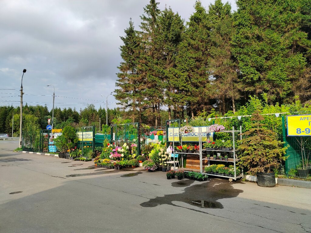 Sera ve bahçe ürünleri Garden World, Domodedovo, foto