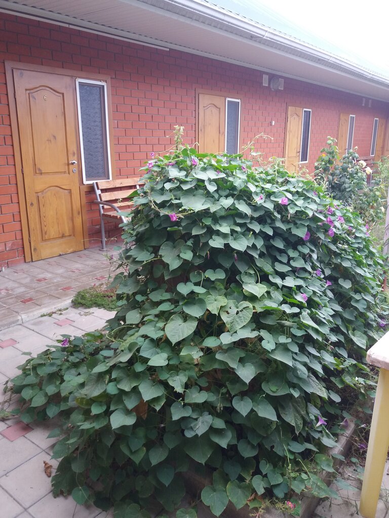 Otel Как дома, Krasnodarski krayı, foto
